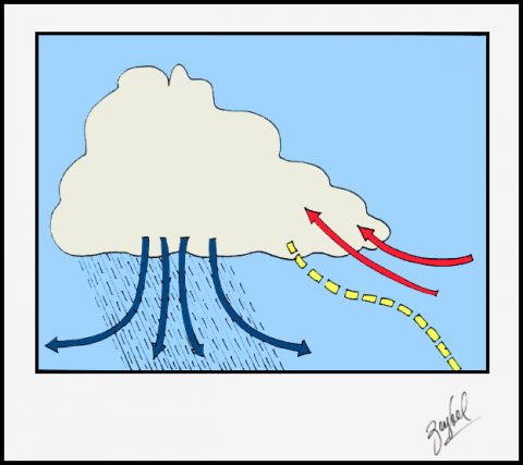 FROM THE CALM TO THE WIND BLOW: HOW TO ACT IN CASE OF SQUALL ...