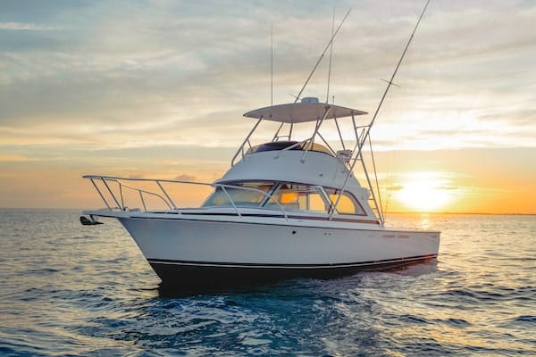 Bertram: production of the legendary brand lands in Italy | Yachting News