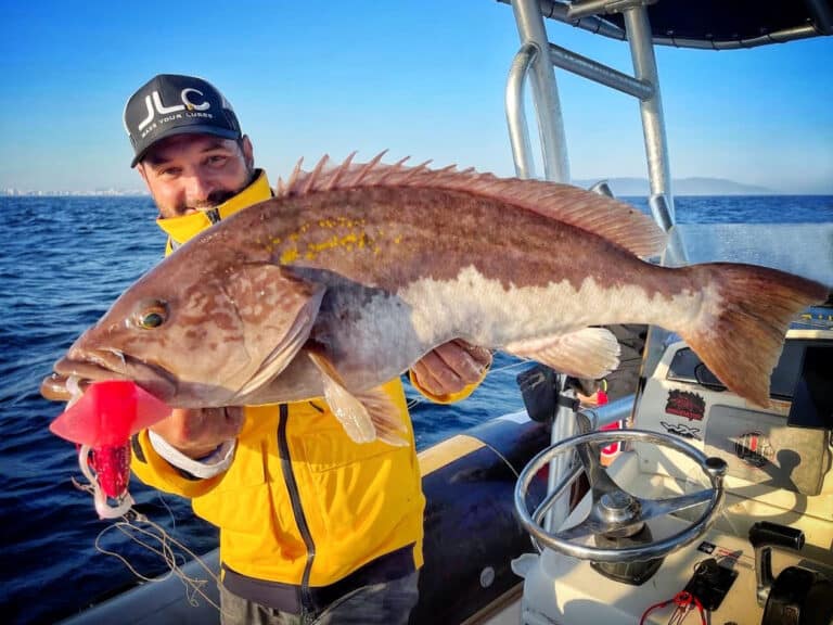 Vertical fishing with soft plastic lures| Yachting News